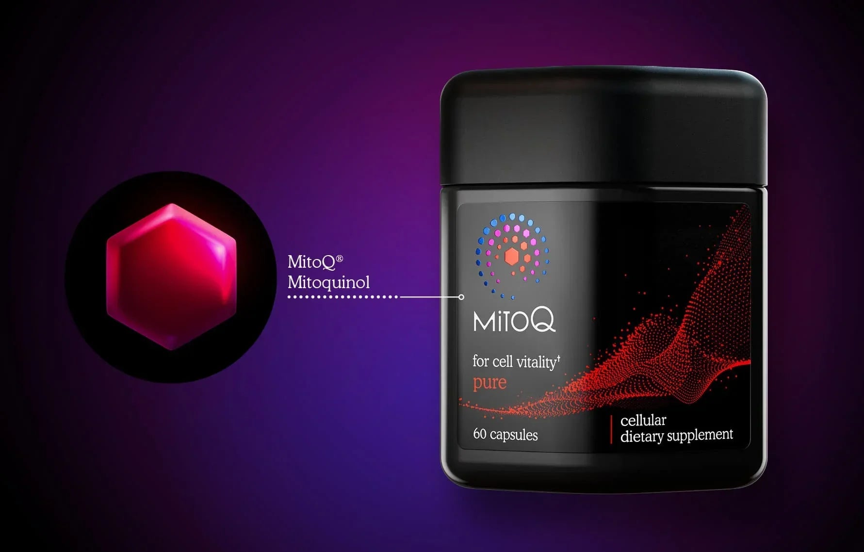 MitoQ ingredients glossary – MitoQ Inc