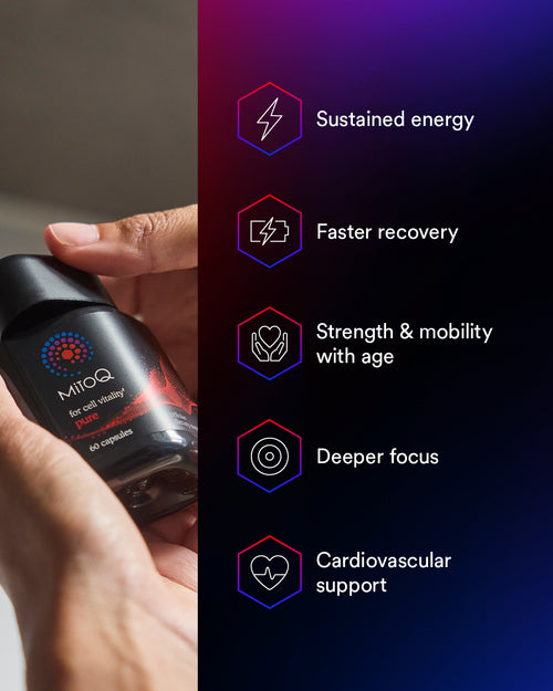 MitoQ Pure: Mitochondria Supplement Mitoquinol Capsules 10mg-60ct ...